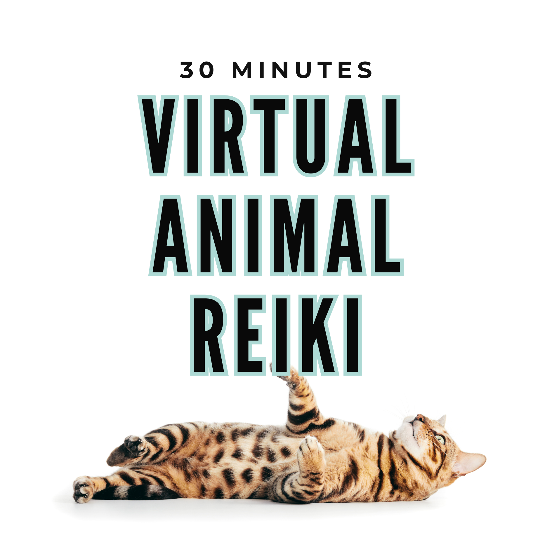 Distance Animal Reiki – The Zen Geologist